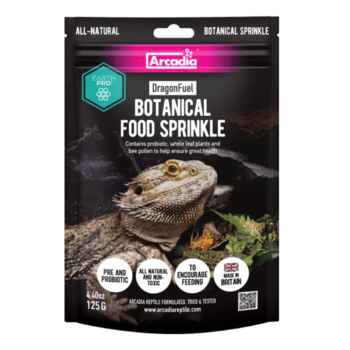 Shop - Lizard Lounge