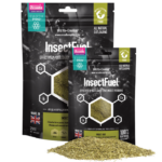 Shop - Lizard Lounge