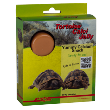 Startseite - Lizard Lounge