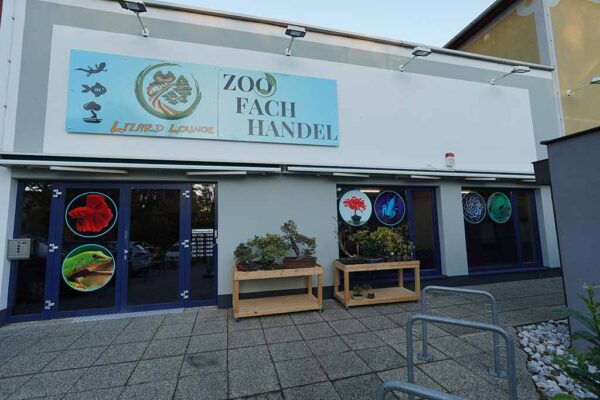 Startseite - Lizard Lounge